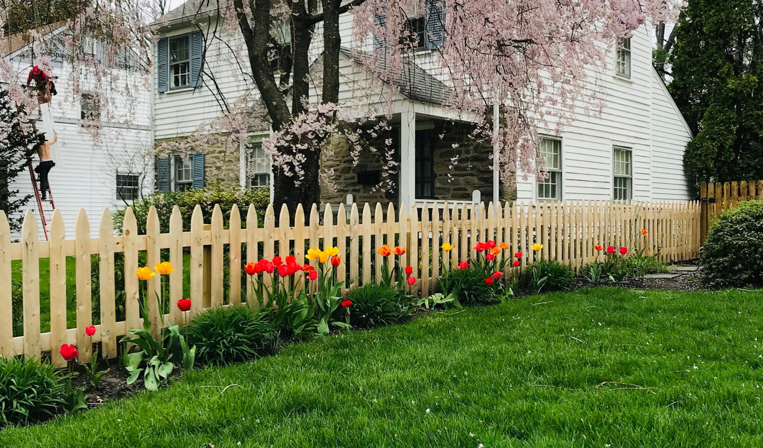 Wood Picket Fences and ActiveYards Picket Fences