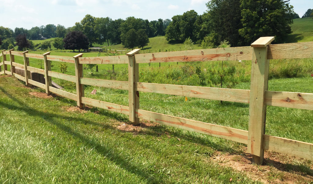 Natural and Treated Split Rail Fences | The Fence Authority