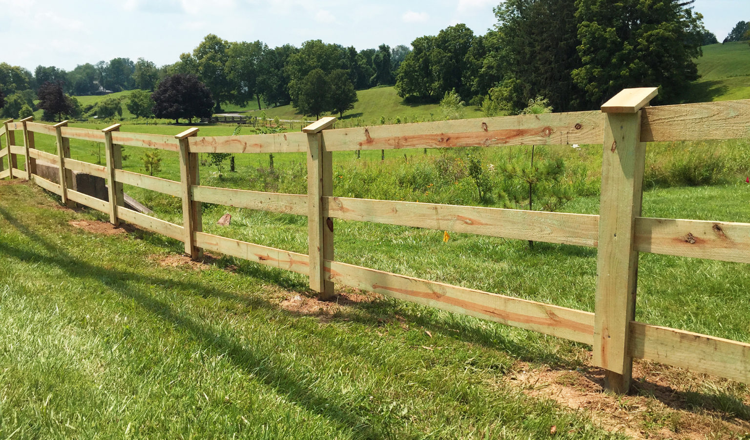 Natural and Treated Split Rail Fences | The Fence Authority
